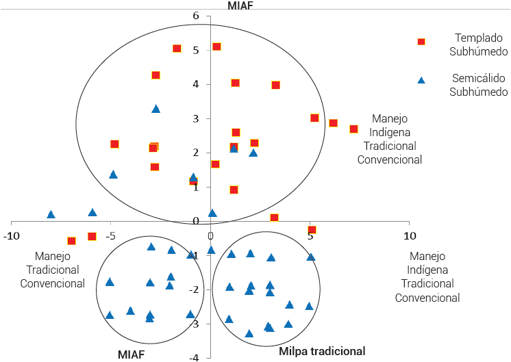 Diversidad biológica del sistema milpa y su papel en la seguridad ...