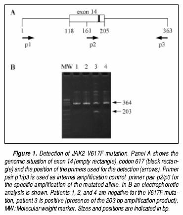 The Janus Kinase 2 (JAK2) V617F mutation in hematological malignancies ...