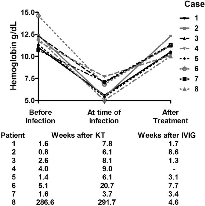 Treatment Strategies and Outcome of Parvovirus B19 Infection in Kidney ...