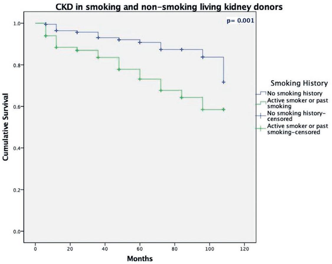 Short- and Mid- Term Impact of Tobacco Smoking on Donor Renal Function ...