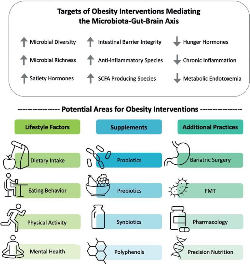The Microbiota-Gut-Brain Axis: Clinical Applications in Obesity and ...