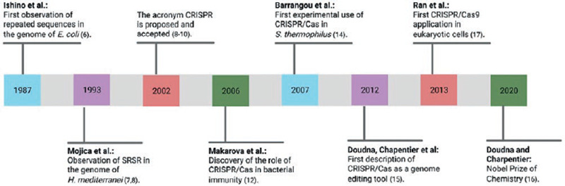 Editing the Human Genome with CRISPR/Cas: A Review of its Molecular ...