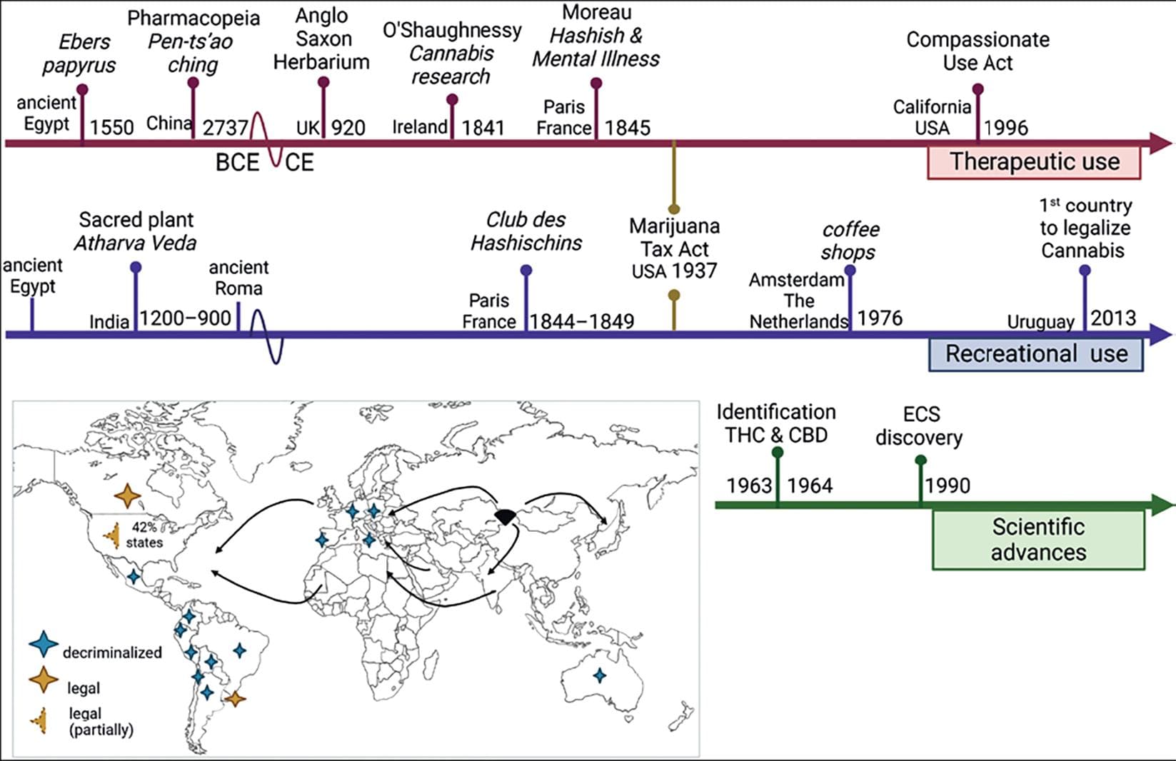 Ancient Marijuana Use