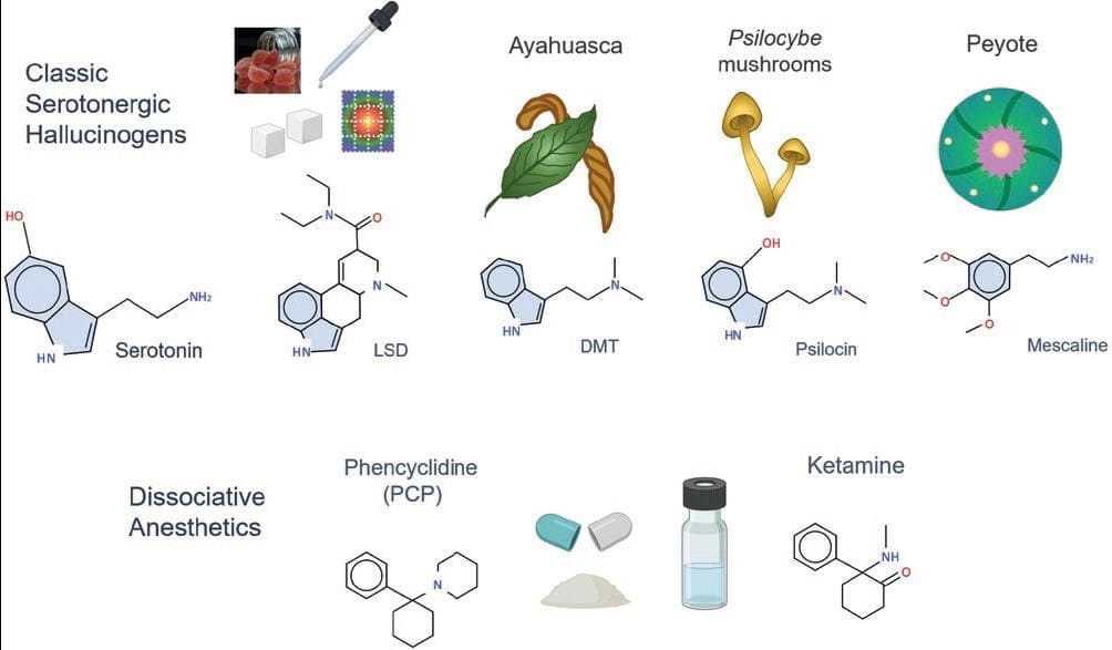 The Resurgence of Hallucinogen Drugs in Clinical Research