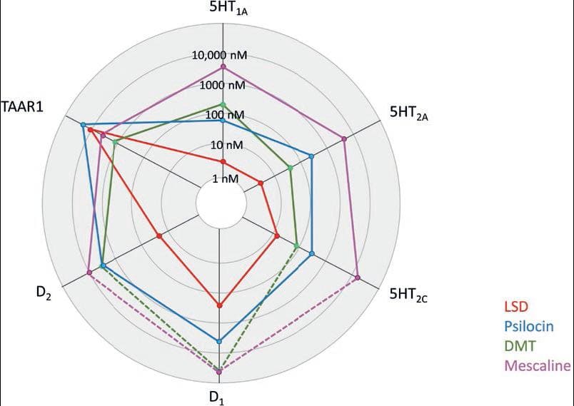 The Resurgence of Hallucinogen Drugs in Clinical Research