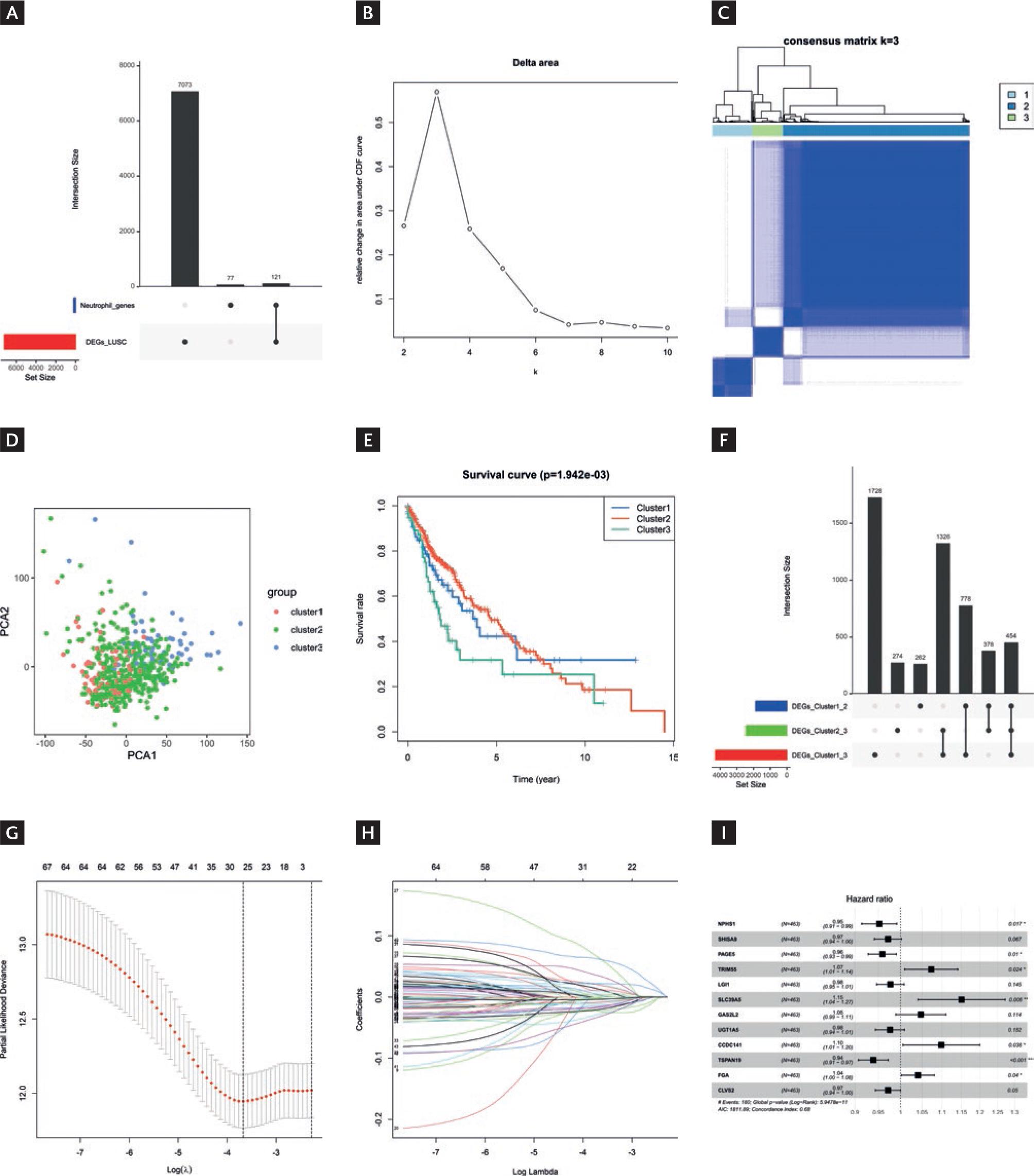 Prediction of Prognostic Features Based on Neutrophil-Related Genes for ...