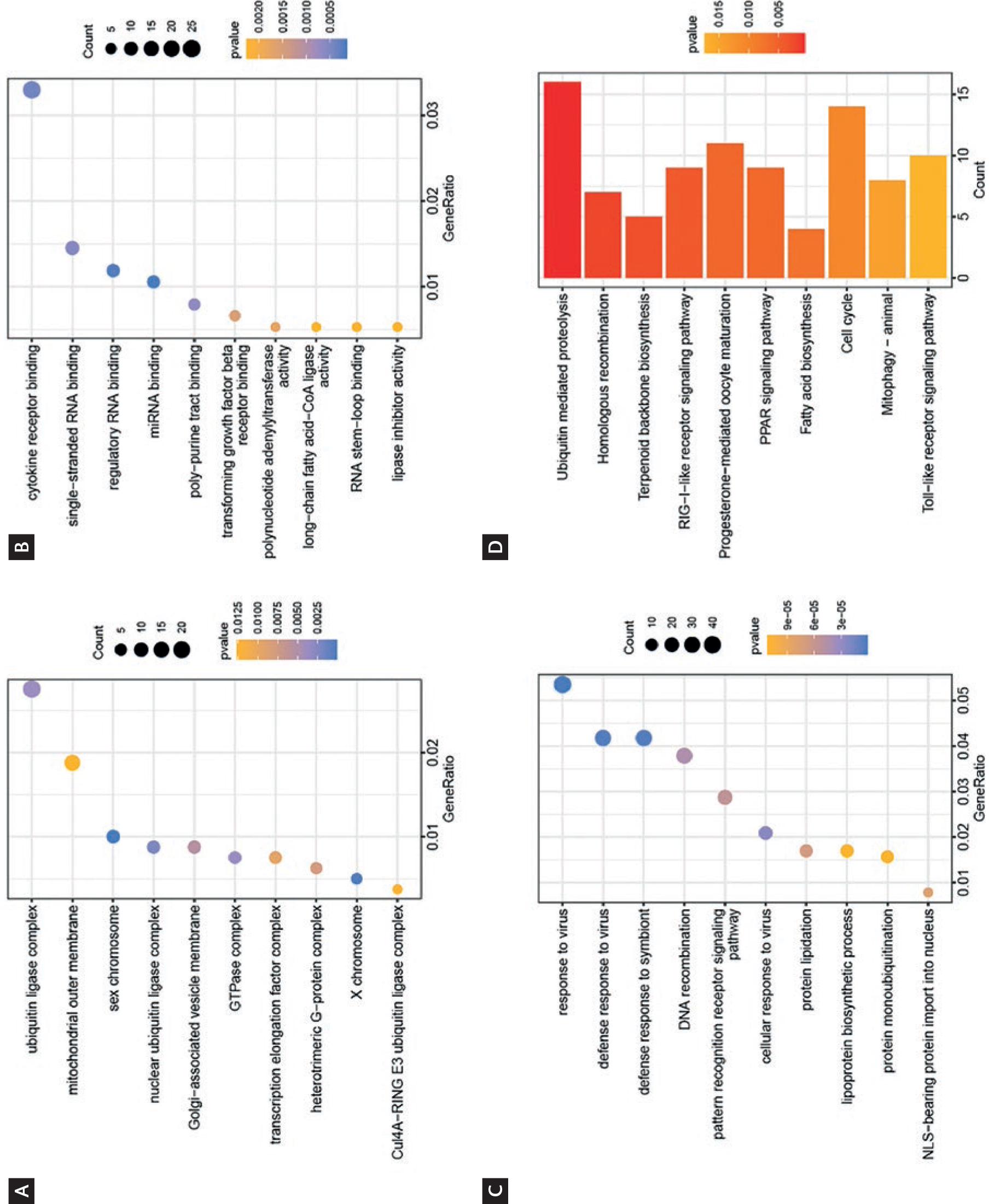 Distinctive Features of IncRNA and mRNA Between Severe and Mild ...