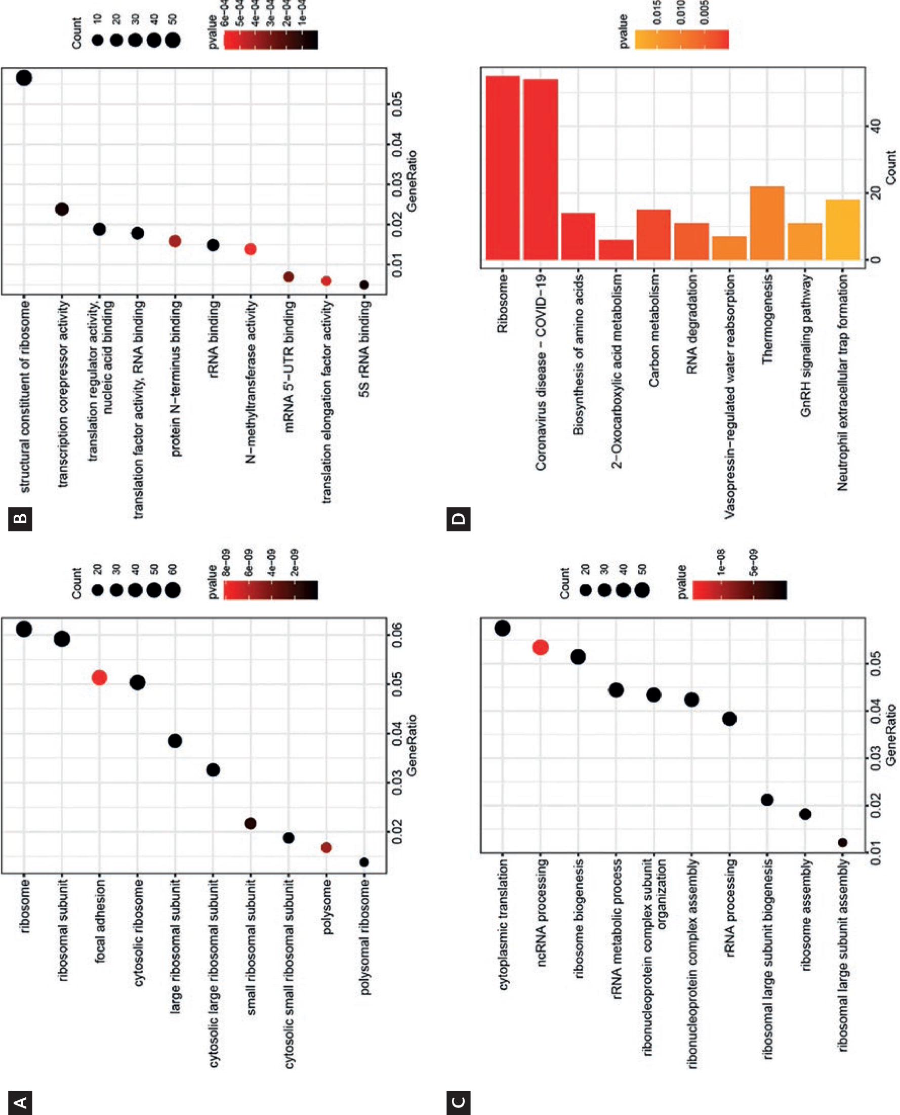 Distinctive Features of IncRNA and mRNA Between Severe and Mild ...