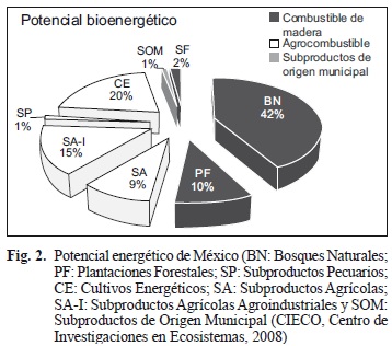 Factores previos involucrados en la producción de bioetanol, aspectos a ...