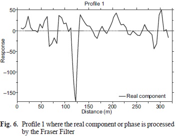 Electromagnetic methods application for characterizing a site ...