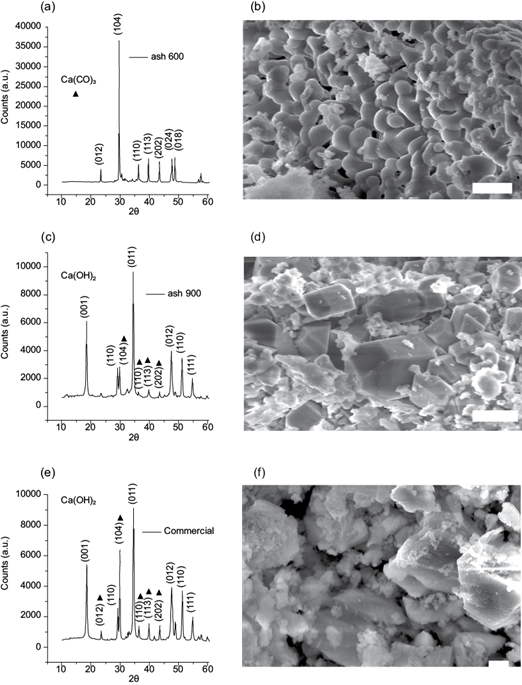 SYNTHESIS AND CHARACTERIZATION OF CALCIUM HYDROXIDE OBTAINED FROM AGAVE ...