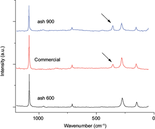 SYNTHESIS AND CHARACTERIZATION OF CALCIUM HYDROXIDE OBTAINED FROM AGAVE ...