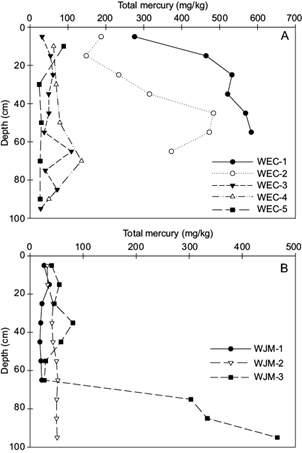 MERCURY POLLUTION ASSESSMENT OF MINING WASTES AND SOILS FROM FORMER ...