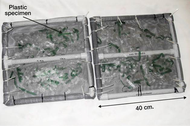 DEGRADATION OF CONVENTIONAL AND OXODEGRADABLE HIGH DENSITY POLYETHYLENE ...