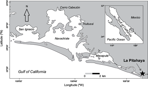 SEASONAL LEVELS OF HEAVY METALS IN SOFT TISSUE AND MUSCLE OF THE PEN ...