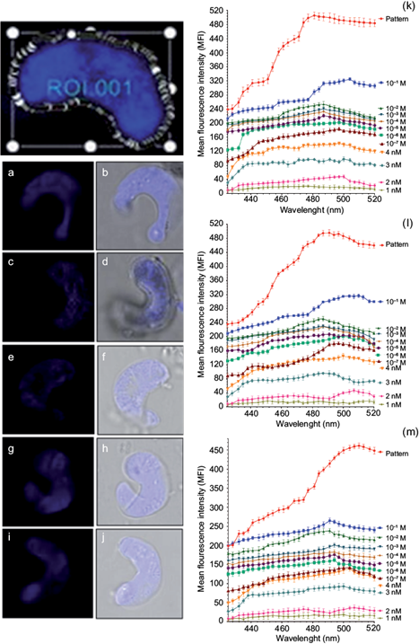 ECOTOXICOLOGICAL BIOASSAYS IN QUANTUM DOTS NANOPARTICLES WITH THE ...