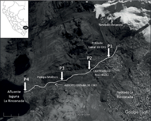 MERCURIO EN UN ARROYO ALTOANDINO CON ALTO IMPACTO POR MINERÍA AURÍFERA ...