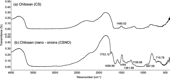 Nano-onions based on chitosan: Production and characterization