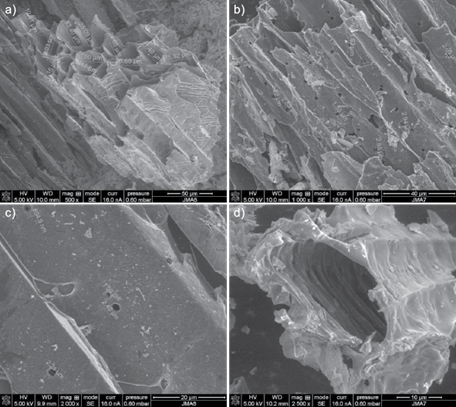Potential of chitosan and activated carbon biocomposites for removing ...