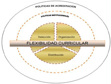 Acreditación y Flexibilidad Curricular
