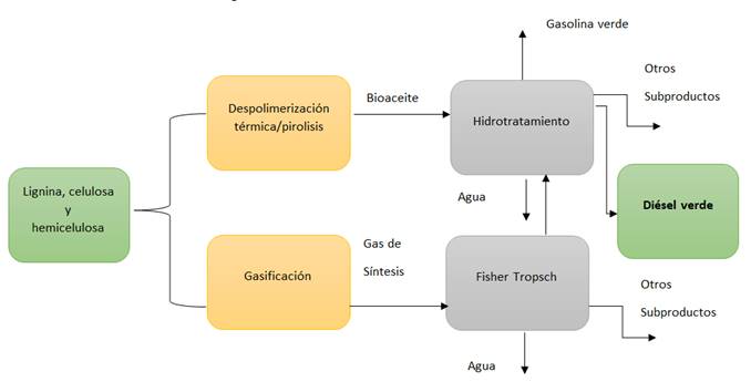 Algunos aspectos de producción de diésel verde a partir de materias ...