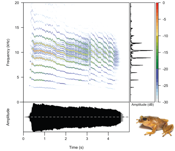 The Distress Call and Range Extension of The Hermosas Robber Frog ...