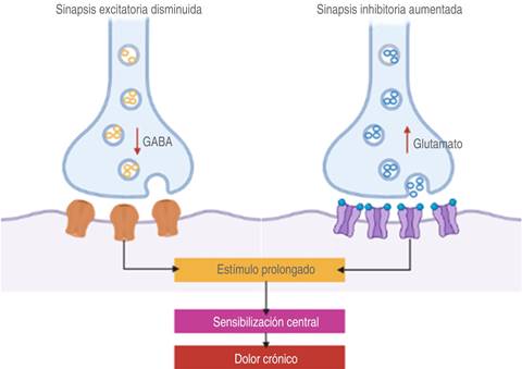Desarrollo del dolor fetal y neonatal