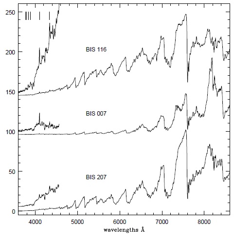 Spectral Properties and Variability of Bis Objects