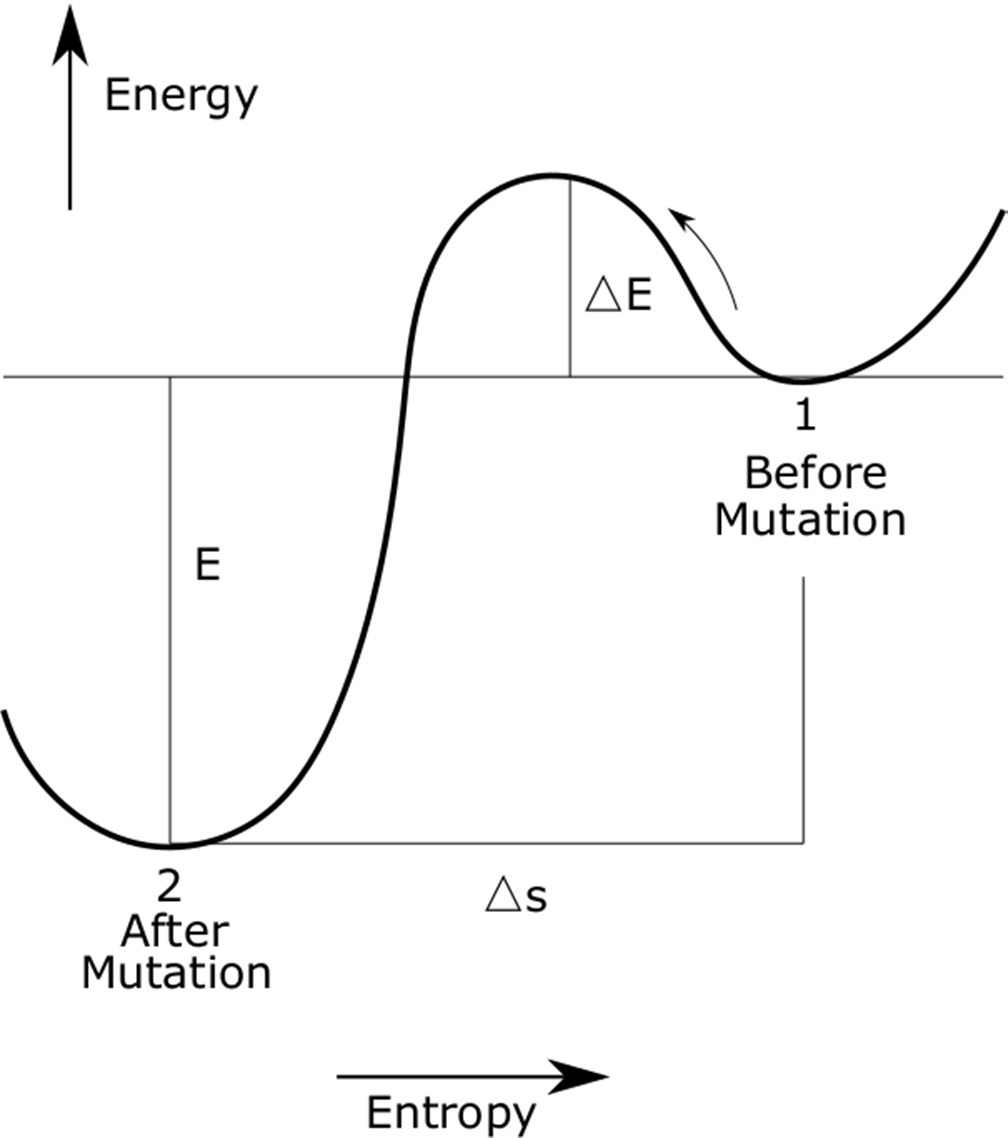 An Astrophysical Perspective of Life. The Growth of Complexity