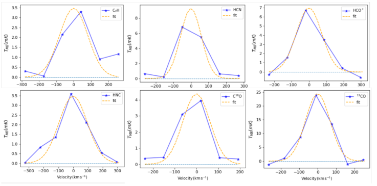 Dense Molecular Gas and Dusty Torus in NGC 4303