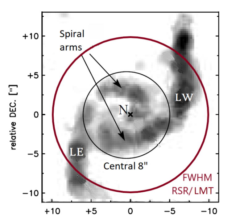 Dense Molecular Gas and Dusty Torus in NGC 4303