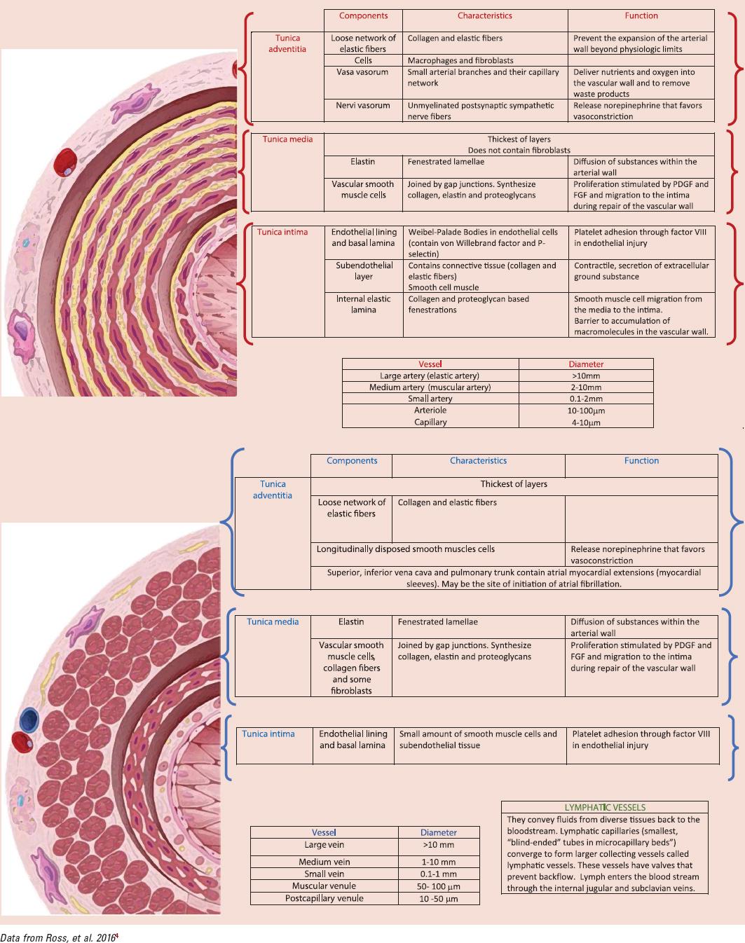 Trends of 3D bioprinting in vascular surgery