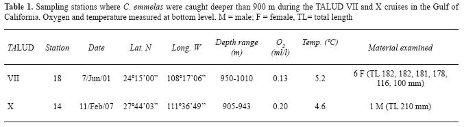 New depth record of Cherublemma emmelas, black brotula (Ophidiiformes ...