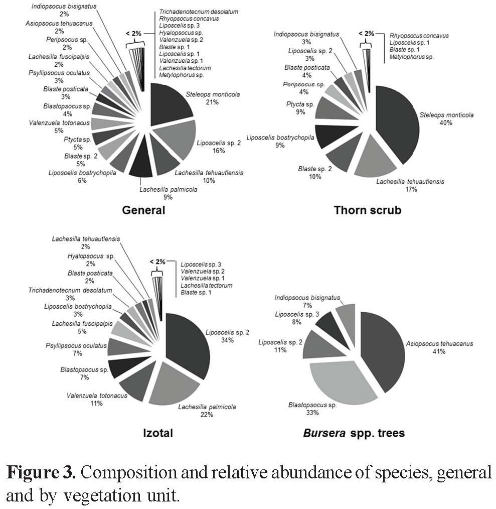 Psocopterans (Psocoptera: Insecta) from Zapotitlán Salinas, Puebla ...