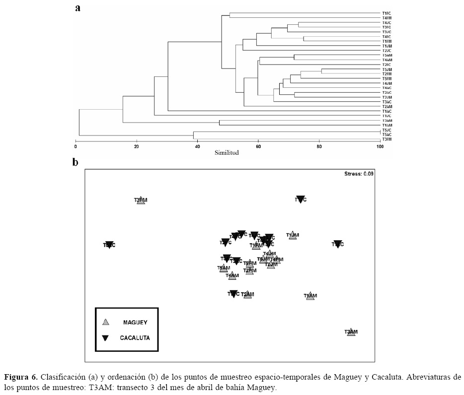 Estructura de las comunidades de peces de las bahías Maguey y Cacaluta ...