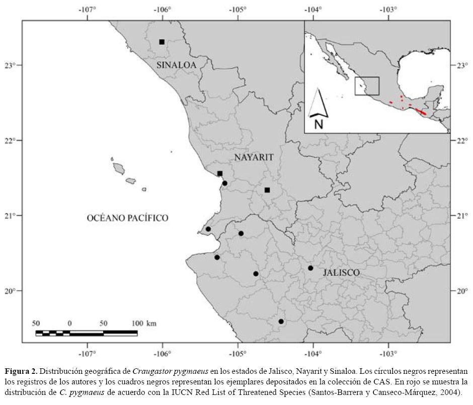 Nuevos registros de distribución para la rana ladrona pigmea Craugastor ...