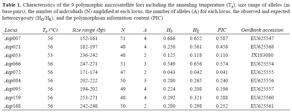 Cross amplification of microsatellite loci developed for Atractosteus ...