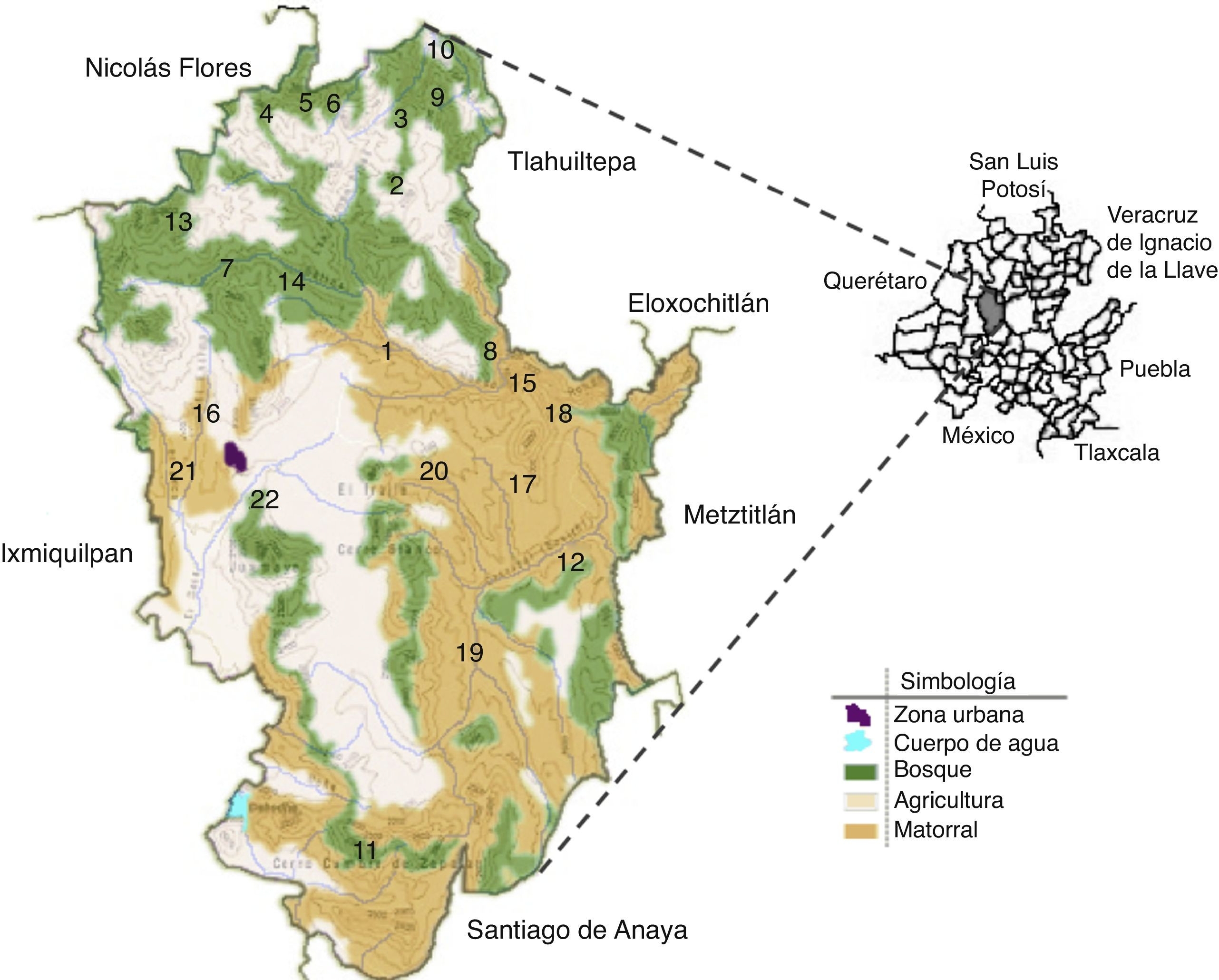 Helechos y licofitas del municipio de Cardonal, Hidalgo, México