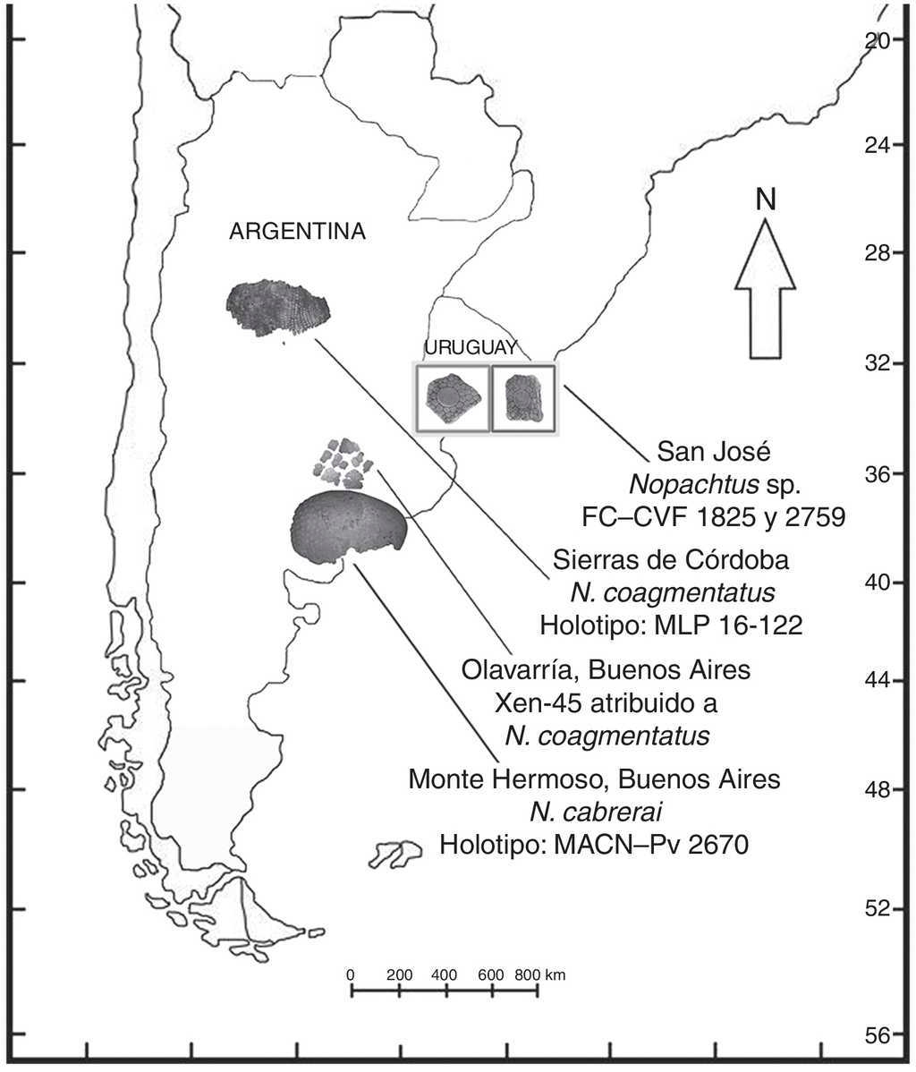 Primeros registros del género Nopachtus (Xenarthra: Cingulata ...