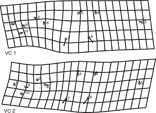 Diversidad morfológica en 6 poblaciones del pescado blanco Chirostoma ...