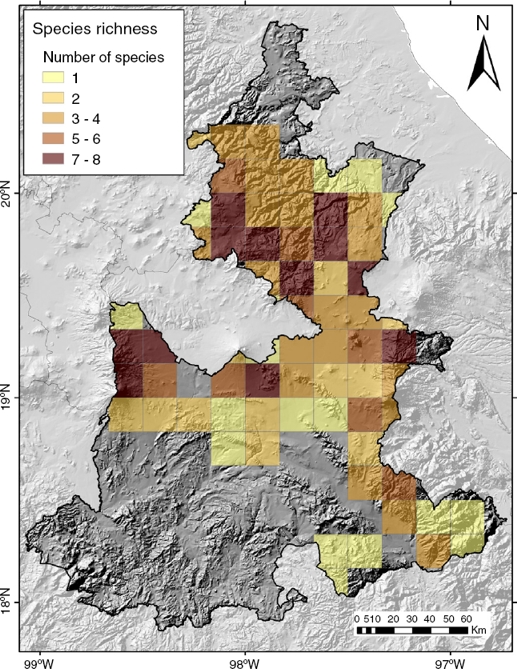 Biodiversity, distribution, and conservation status of Pinaceae in ...