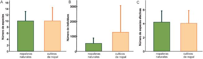 Diversidad de hormigas epigeas en cultivos de nopal tunero (Opuntia ...