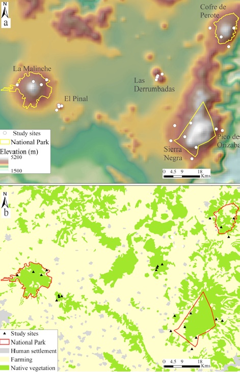 Archipelago reserves, a new option to protect montane entomofauna and ...