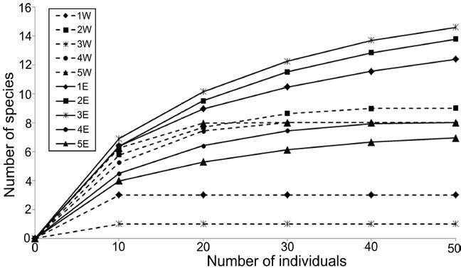 Polychaete diversity patterns along an environmental gradient in ...