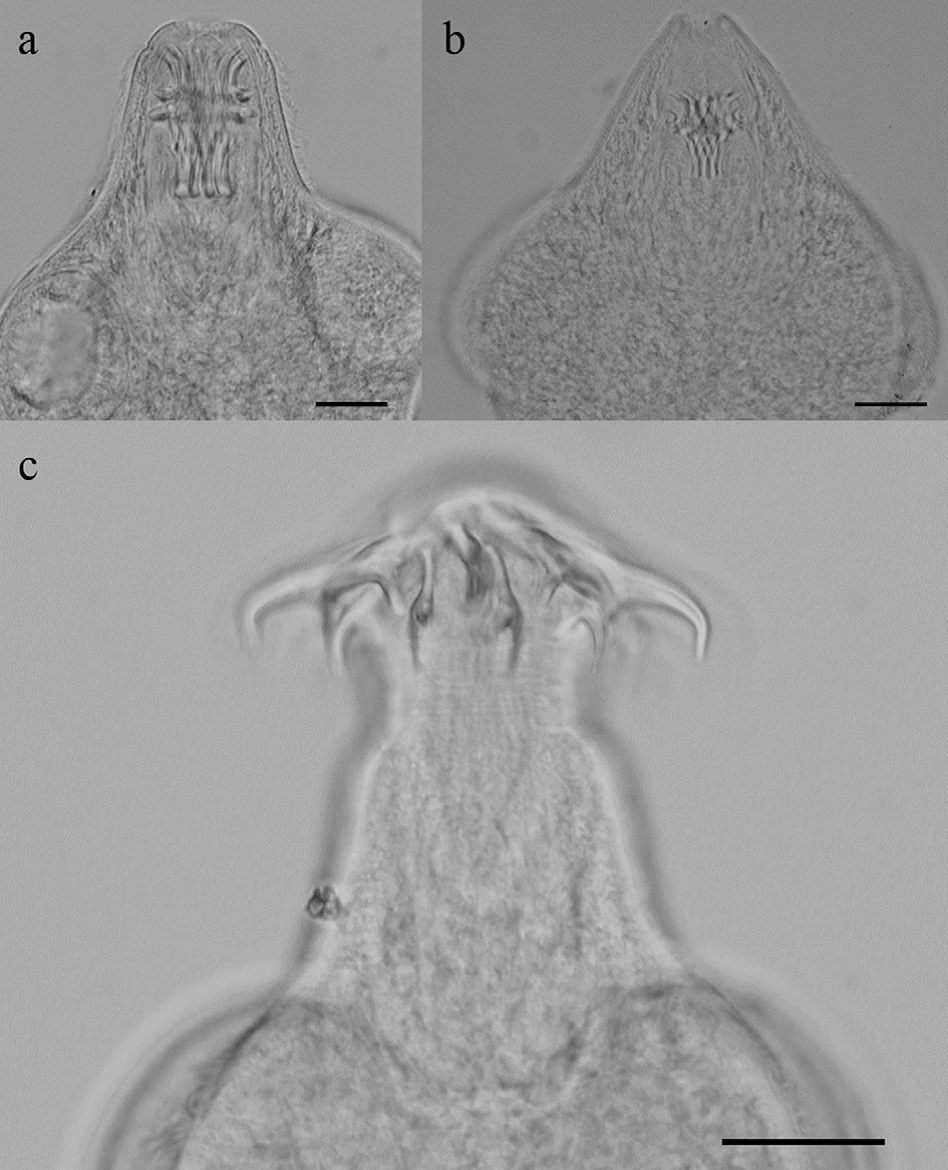 Helmintos del pez anual Millerichthys robustus (Teleostei: Rivulidae ...