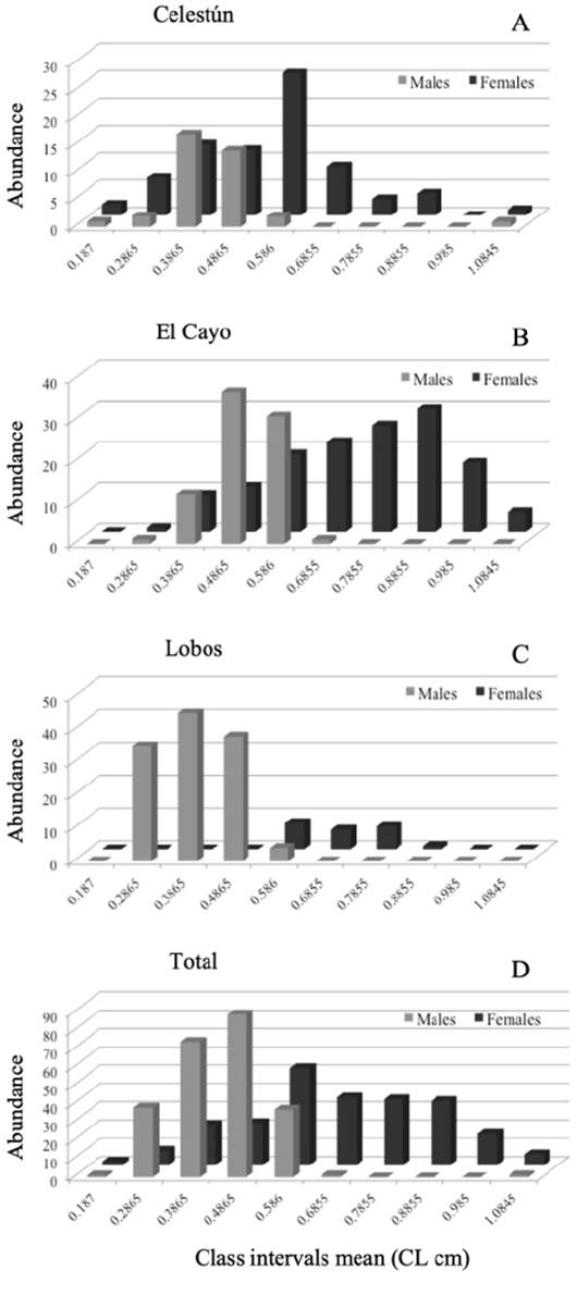 Reproductive characteristics of Tozeuma carolinense (Decapoda: Caridea ...