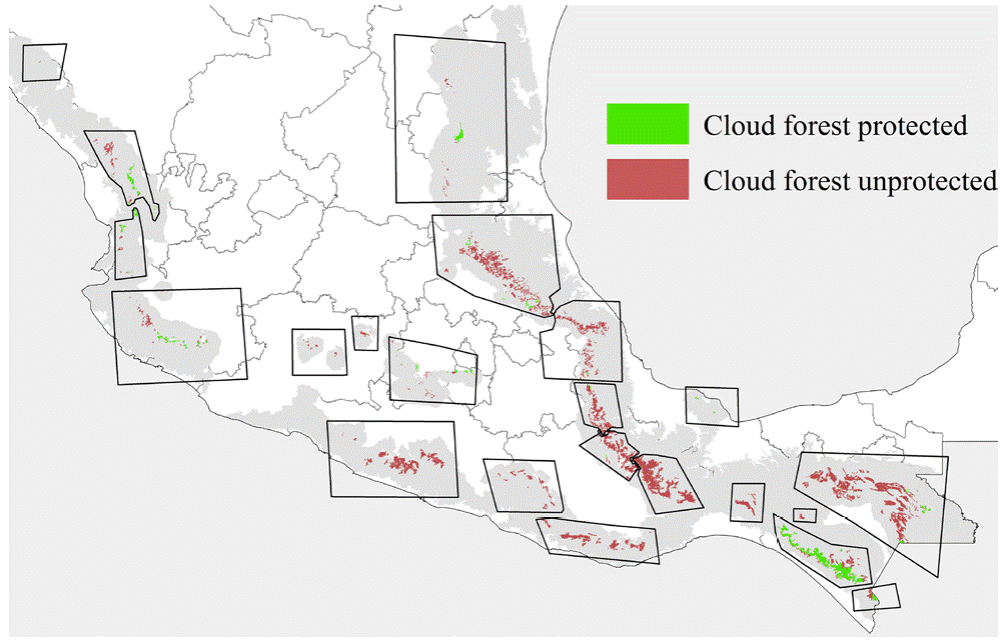 Climate change impact on endangered cloud forest tree species in Mexico