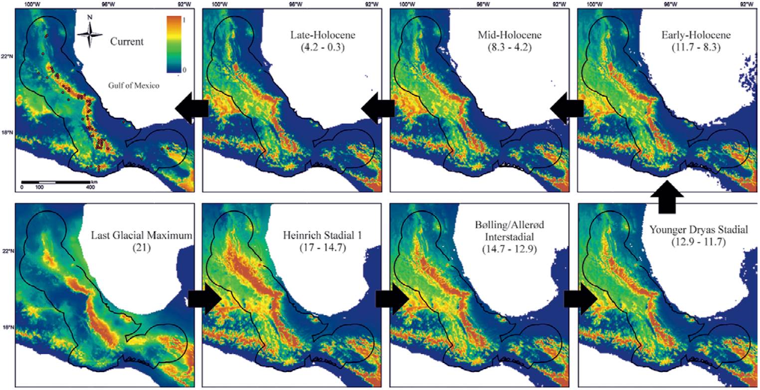 Paleodistribution modelling for planning the growth of natural history ...