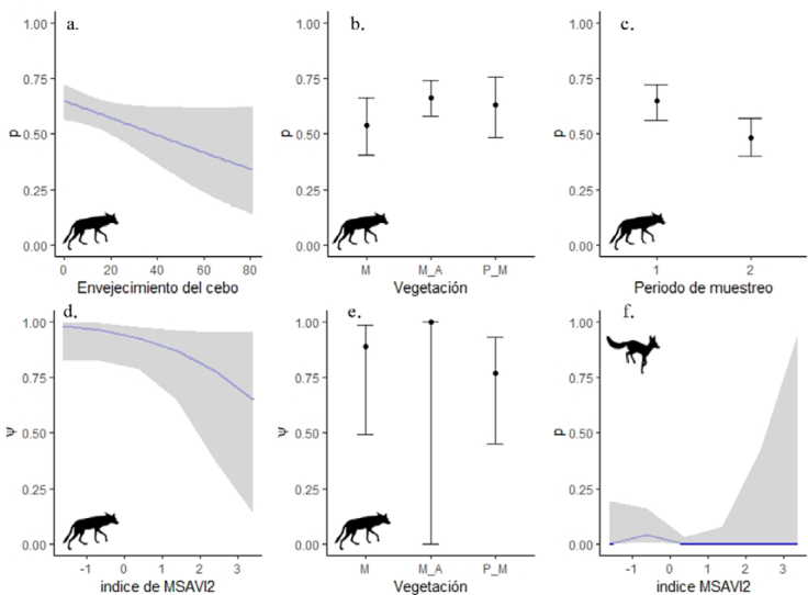 Coexistencia de Vulpes macrotis y Canis latrans (Carnivora: Canidae) en ...