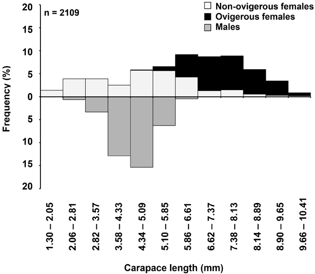 Population traits and reproduction of the hippolytid shrimp Tozeuma ...